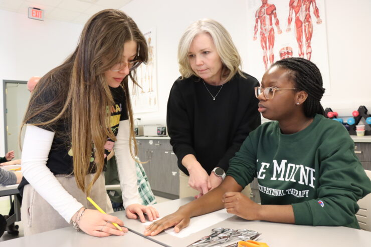 Occupational Therapy - Le Moyne College
