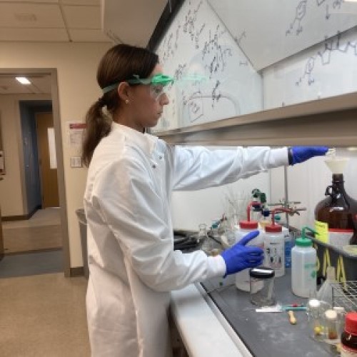 Accepted Transfer Students - Le Moyne College