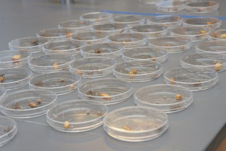 Biology Degrees - Le Moyne College