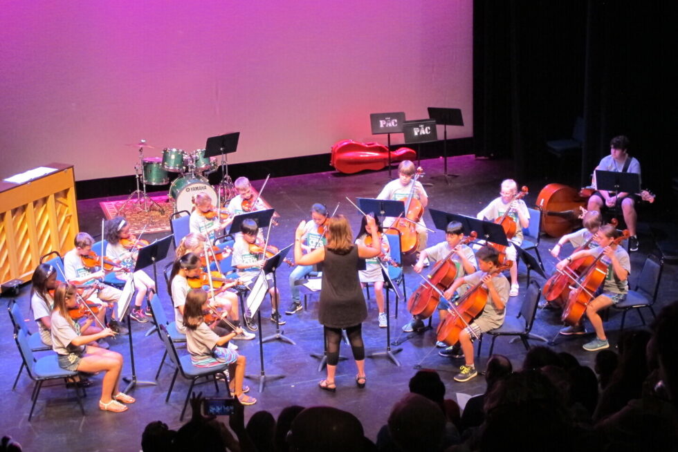 Summer Arts Institute: Strings Program - Le Moyne College